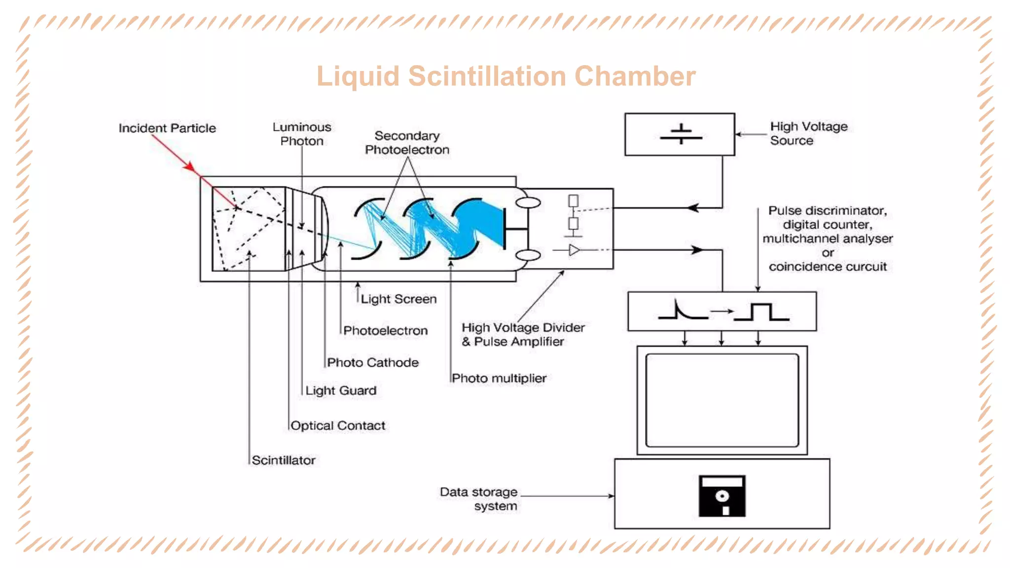 Tracer techniques, General techniques for biosynthetic studies ...