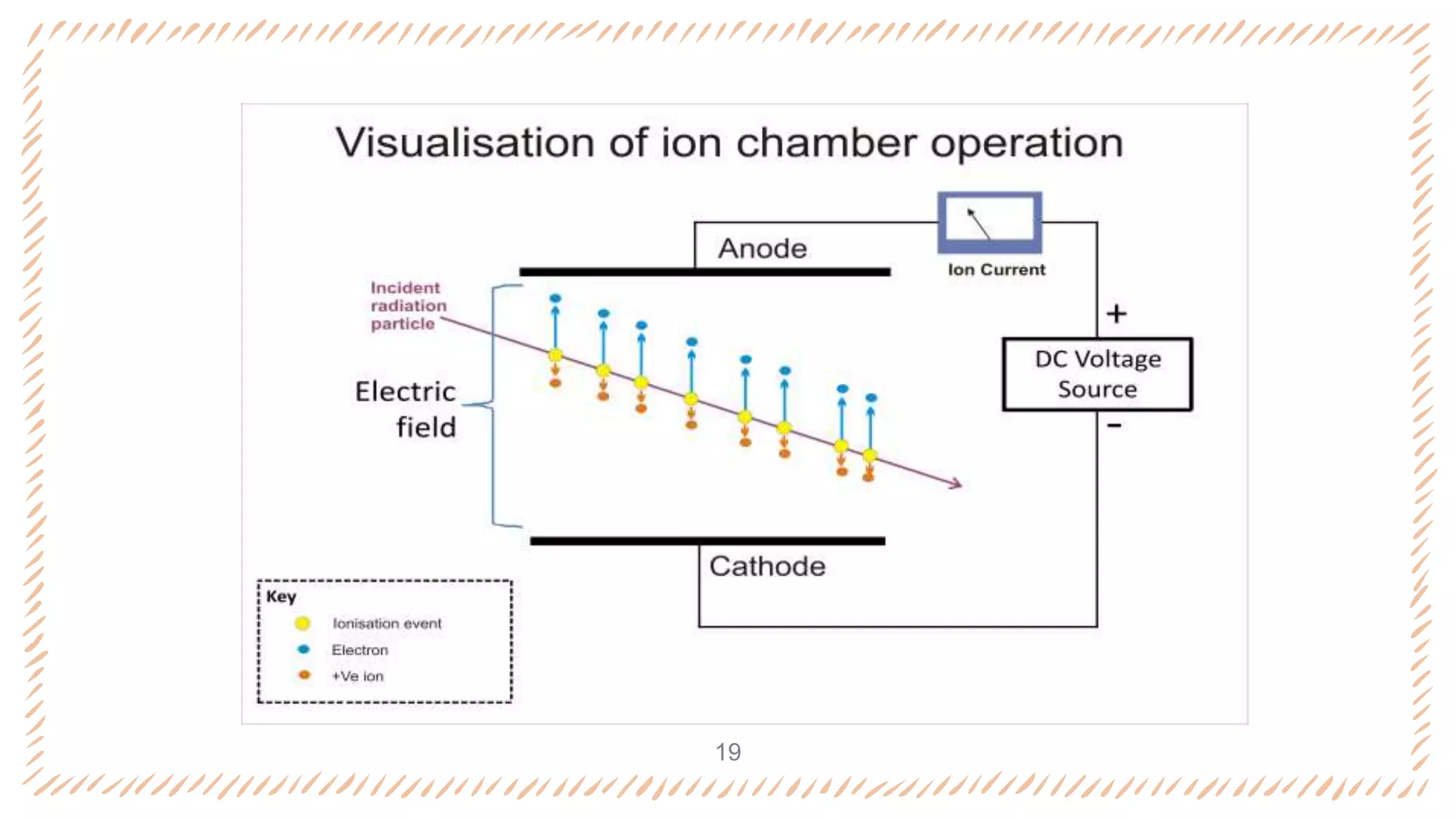 Tracer techniques, General techniques for biosynthetic studies ...