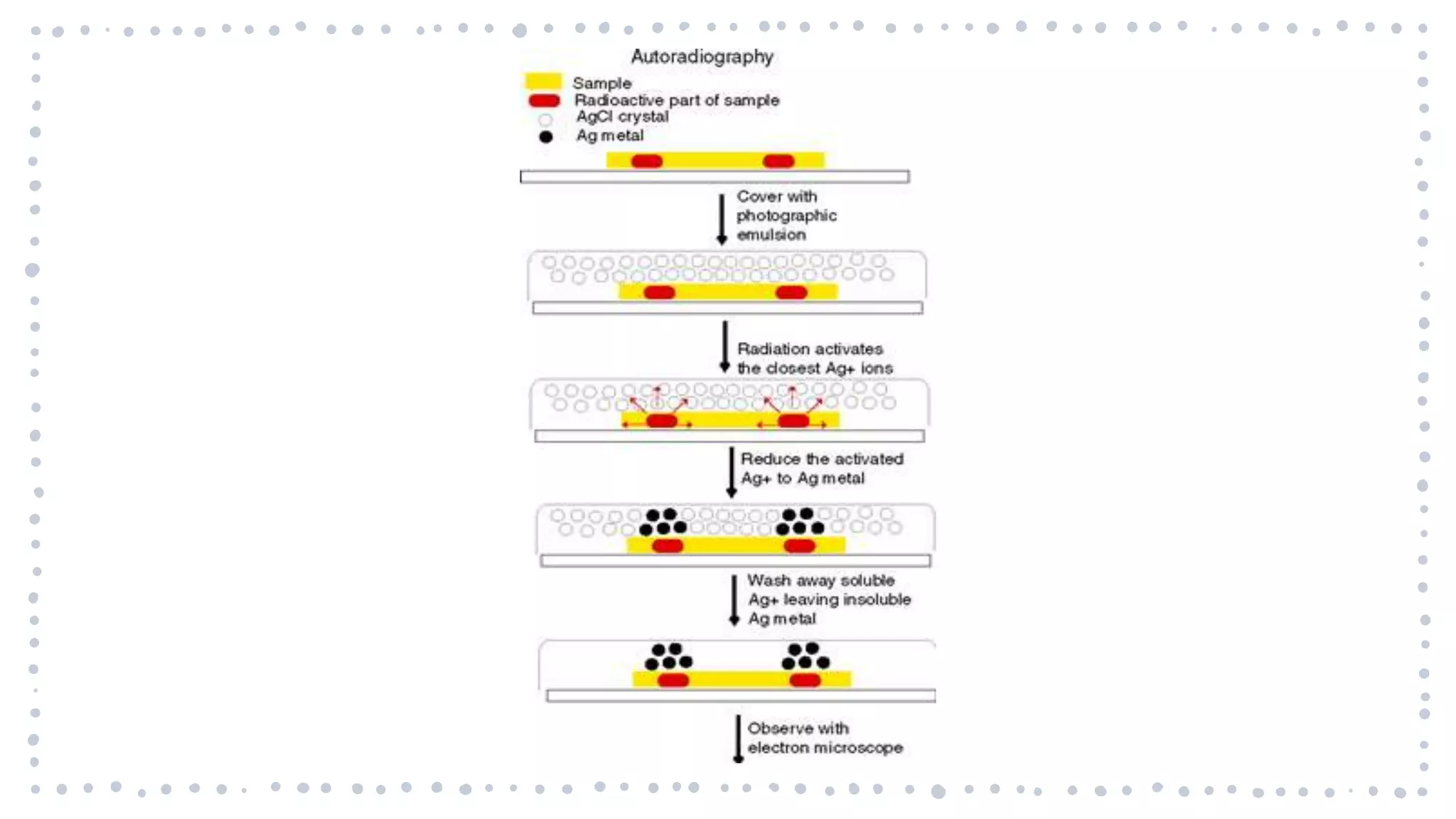 Tracer techniques, General techniques for biosynthetic studies ...