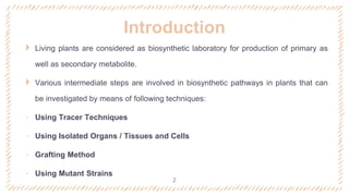 Tracer techniques, General techniques for biosynthetic studies ...