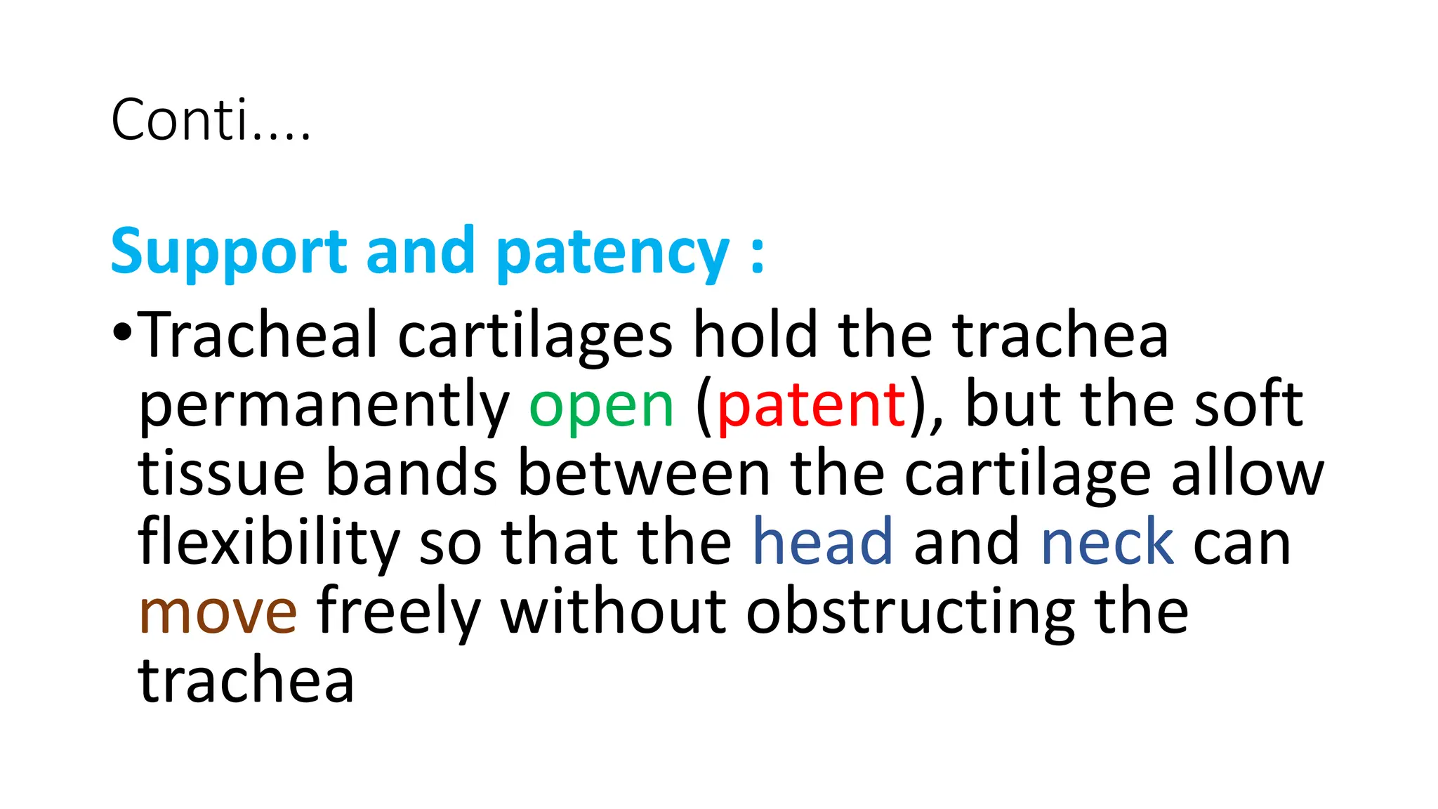 Trachea.pptx , Anatomy and physiology, Ross and Wilson | PPTX
