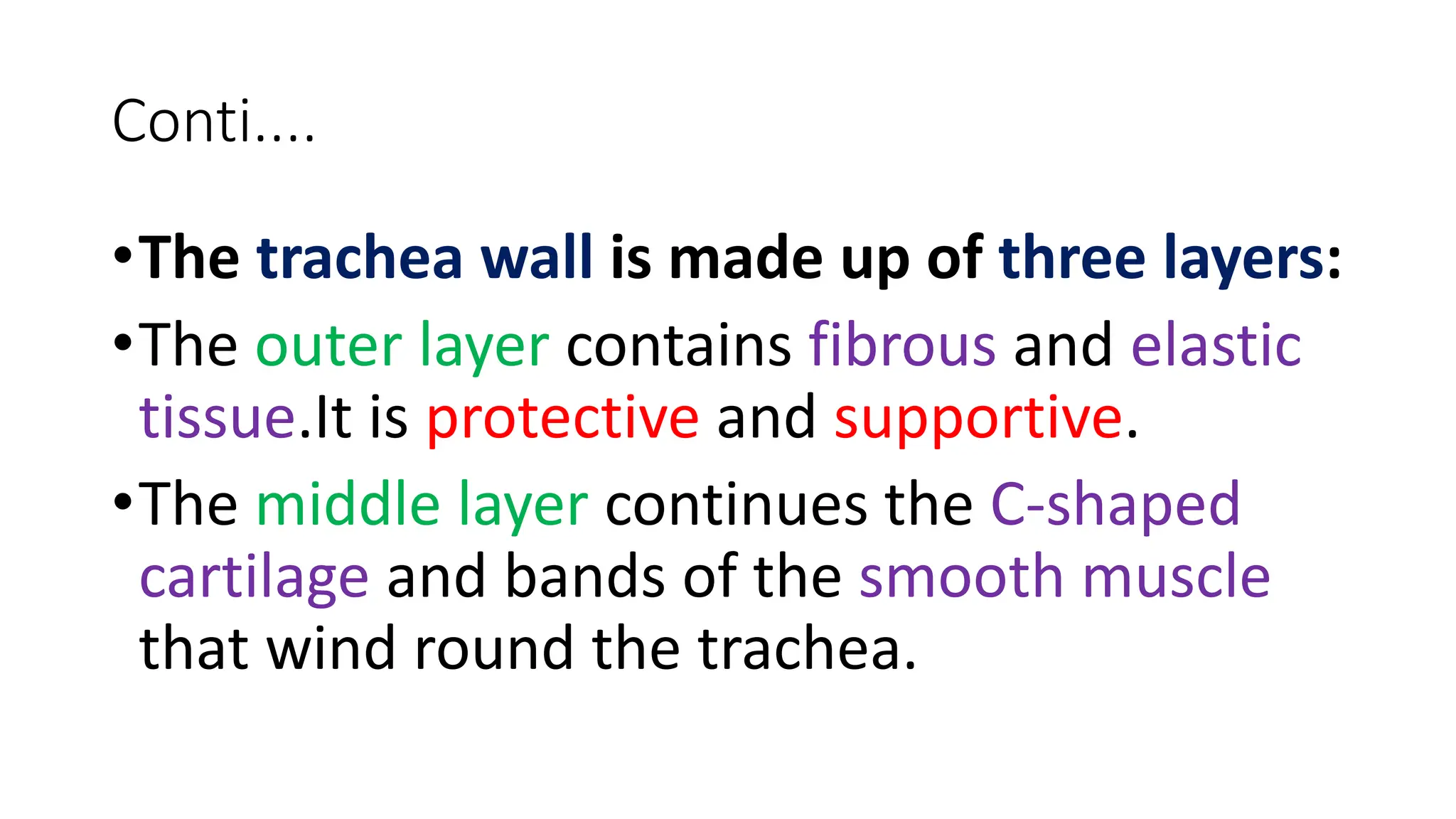 Trachea.pptx , Anatomy and physiology, Ross and Wilson | PPTX