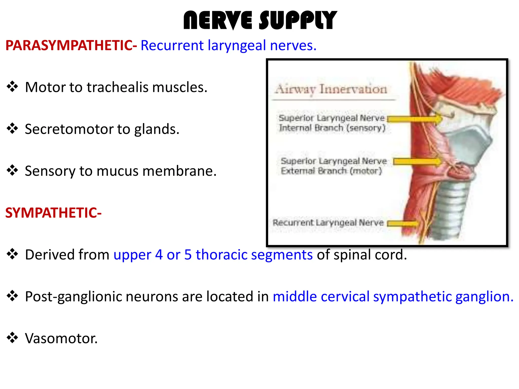 TRACHEA-OESOPHAGUS.pdf