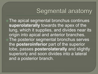 trachea,and bronchi, upper respiratory | PPTX