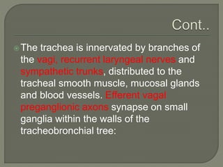 trachea,and bronchi, upper respiratory | PPTX