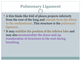 Trachea and Lungs .pptx