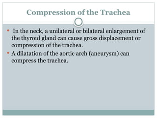 Trachea and Lungs .pptx