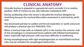 trachea and tracheostomy12345678 (3).pptx