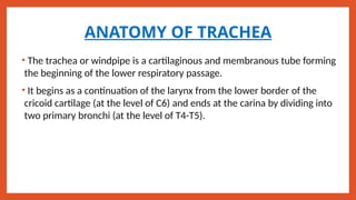 trachea and tracheostomy12345678 (3).pptx