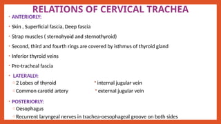 trachea and tracheostomy12345678 (3).pptx