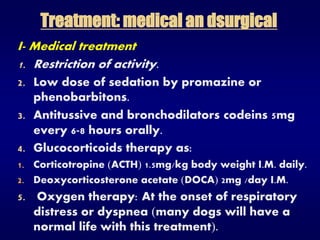 Trachea collapse | PDF