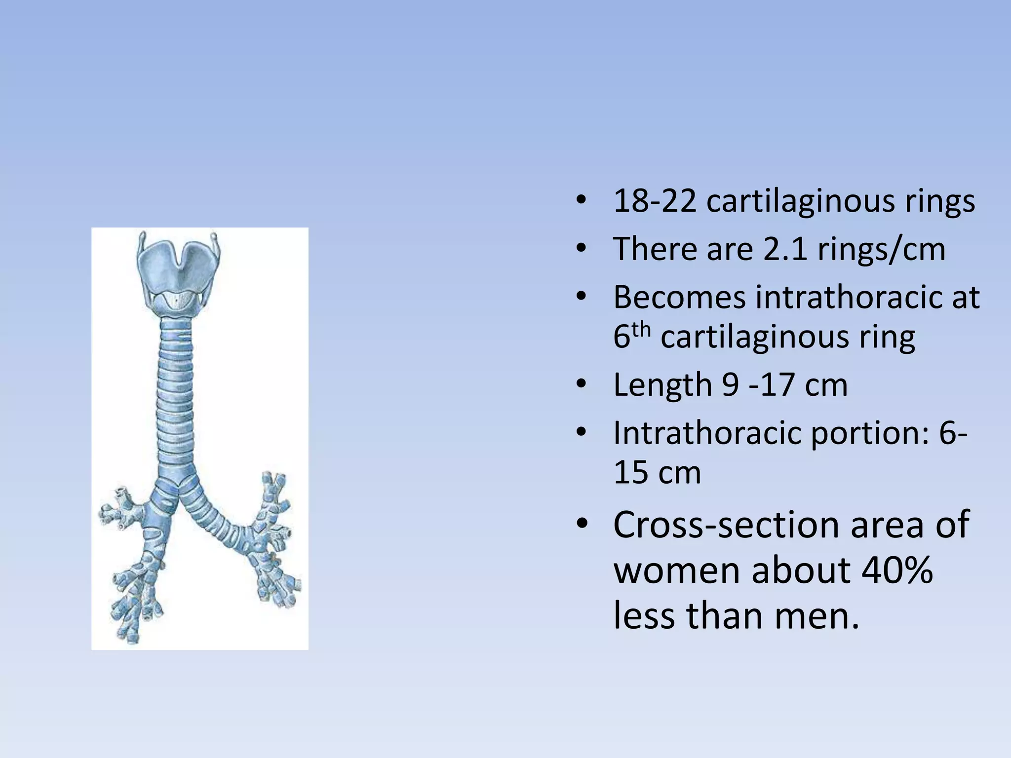 Tracheal pathologies | PPTX