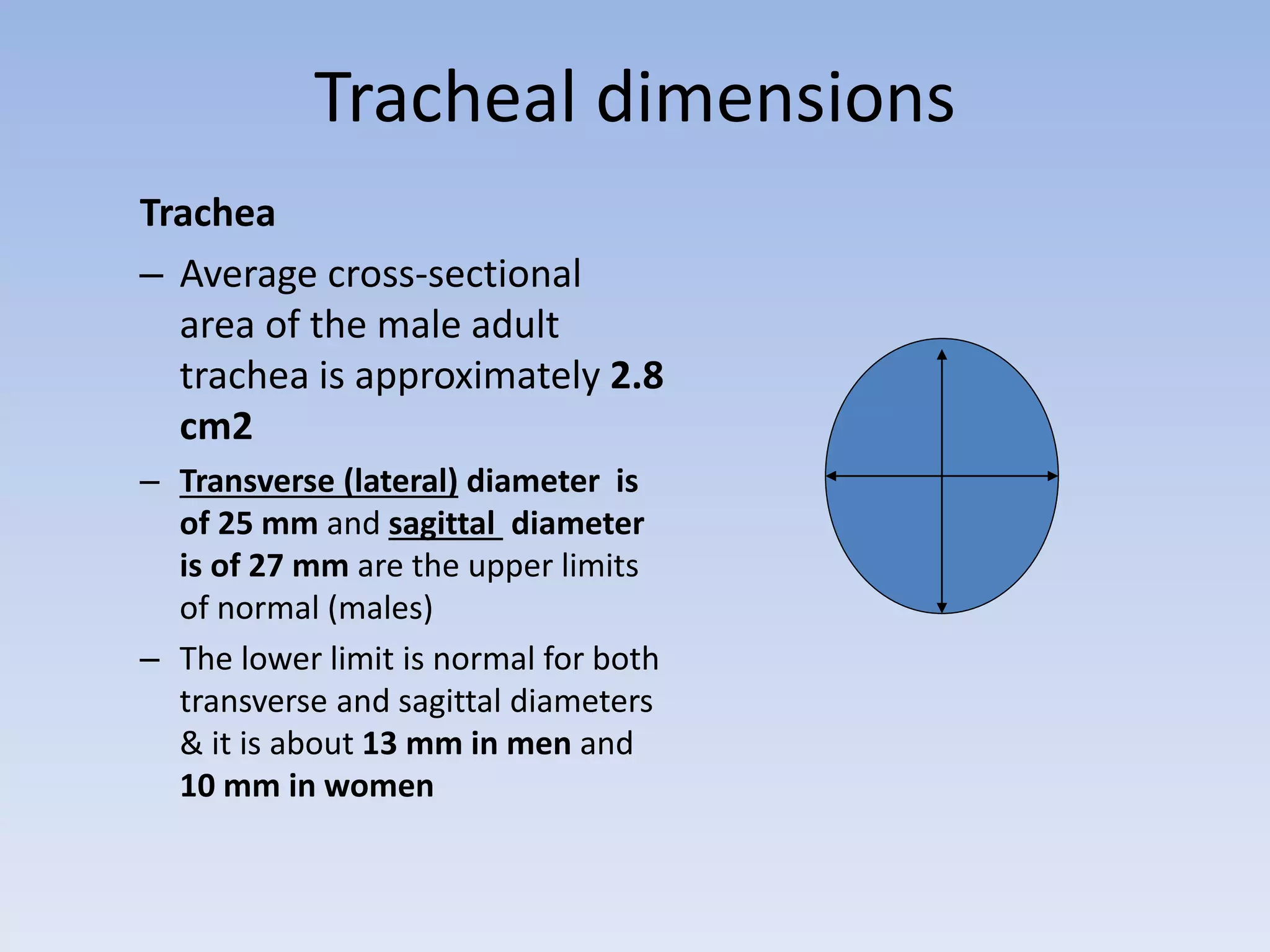 Tracheal pathologies | PPTX