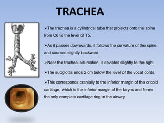 Tracheal pathologies | PPTX