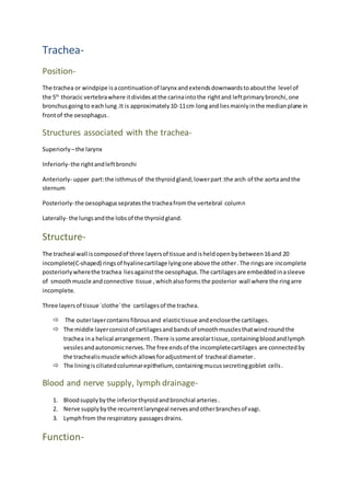 Trachea respiratory system | DOCX