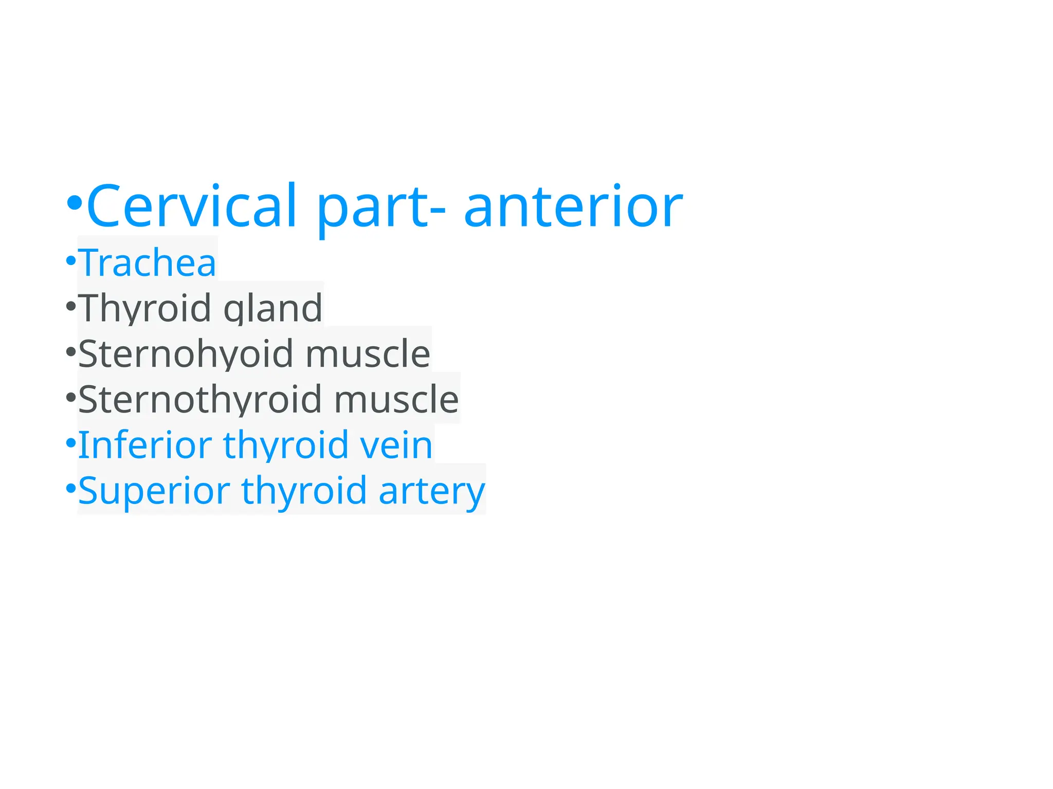 TRACHEA full Anatomy presentation download | PPTX