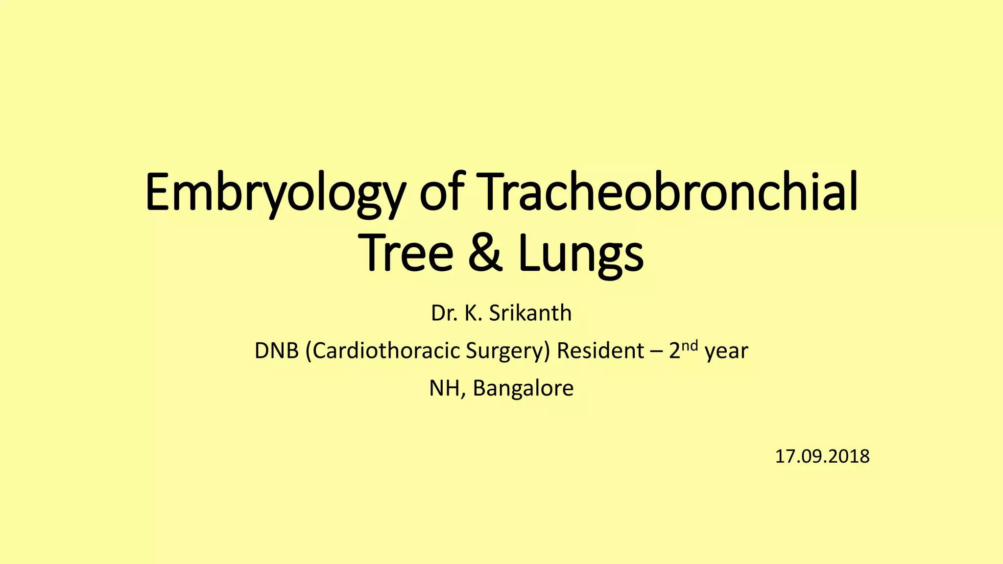 Tracheobronchial tree anatomy and bronchoscopy | PPTX