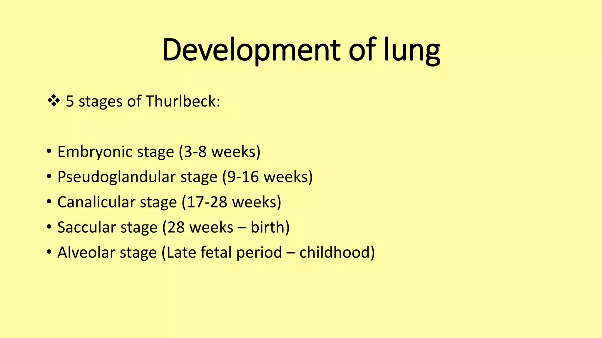 Tracheobronchial tree anatomy and bronchoscopy | PPTX