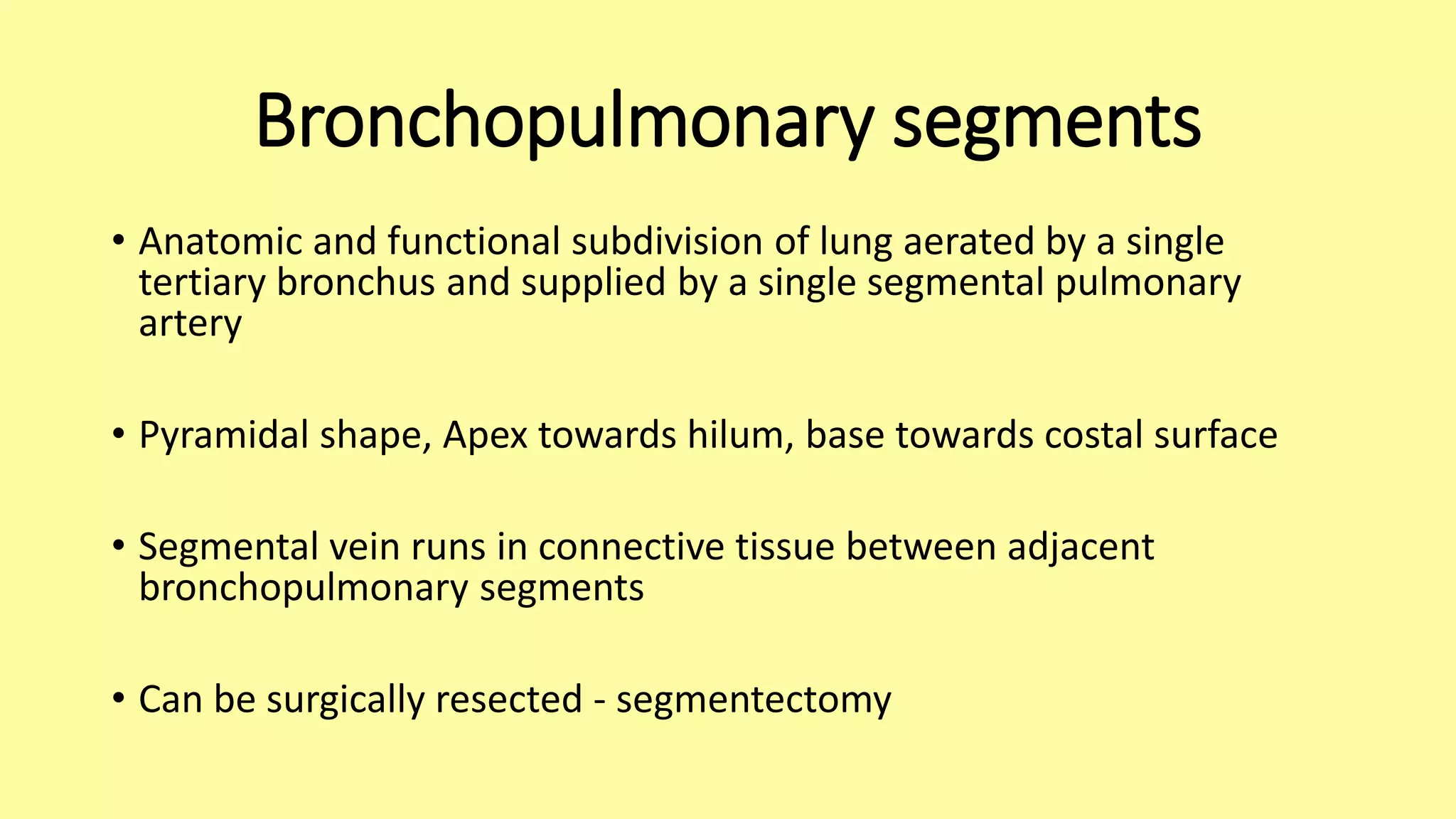 Tracheobronchial tree anatomy and bronchoscopy | PPTX