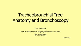 Tracheobronchial tree anatomy and bronchoscopy | PPTX