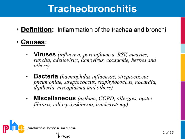 Tracheobronchitis: Review of Literature and PHS TBS Outcomes | PDF ...