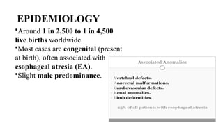 Tracheoesophageal Fistula (TEF) – A Congenital Malformation of the ...