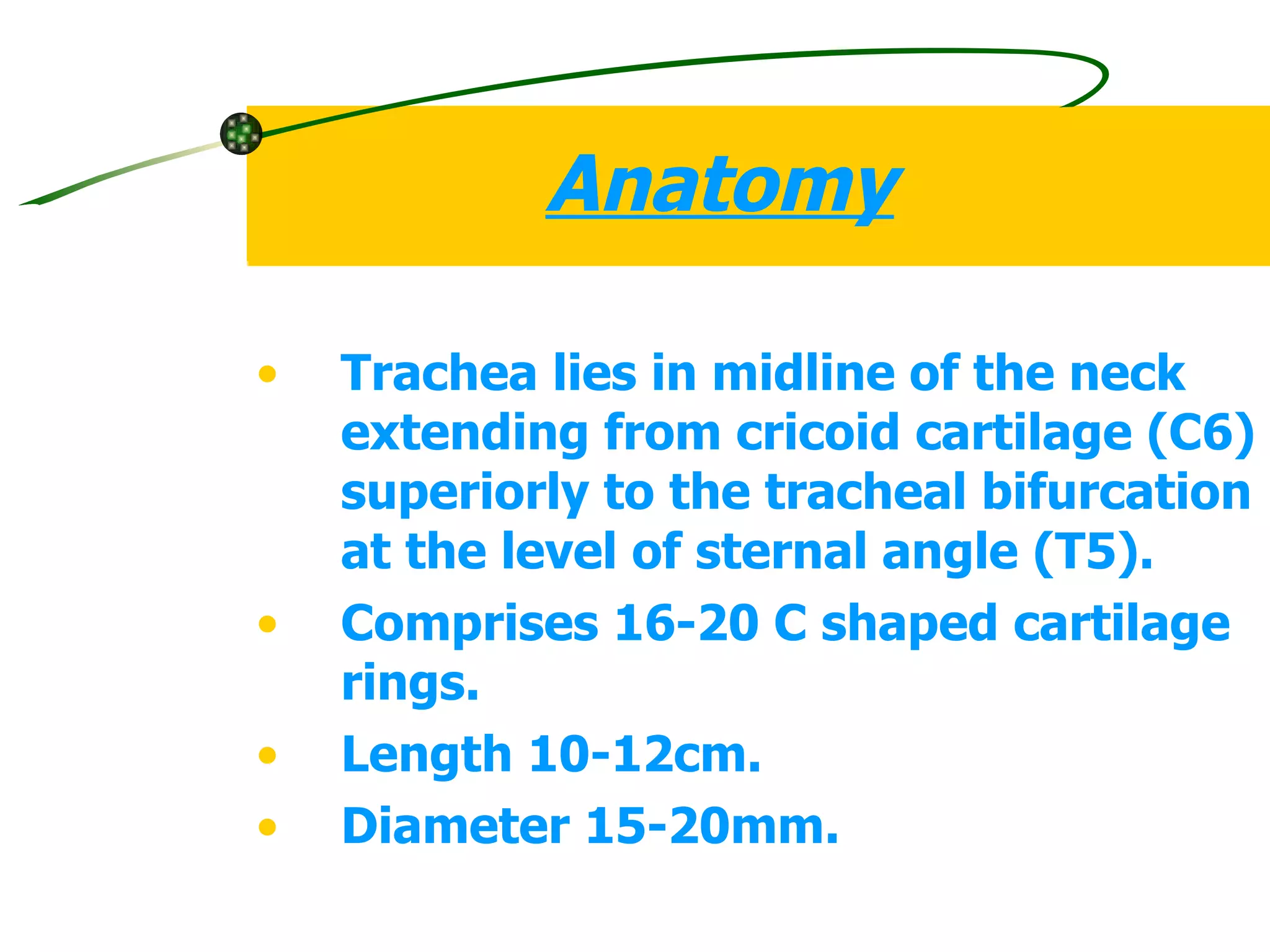 E.N.T.Tracheostomy.(dr.usif chalabe) | PPT
