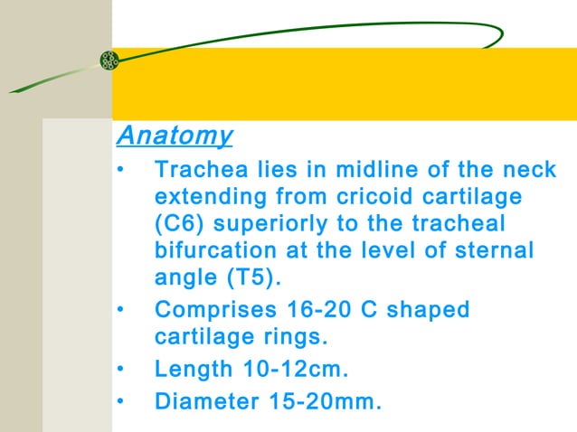 Tracheostomy | PPT