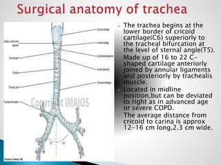 TRACHEOSTOMY BY DR JUVERIA MAJEED MS ENT | PPTX