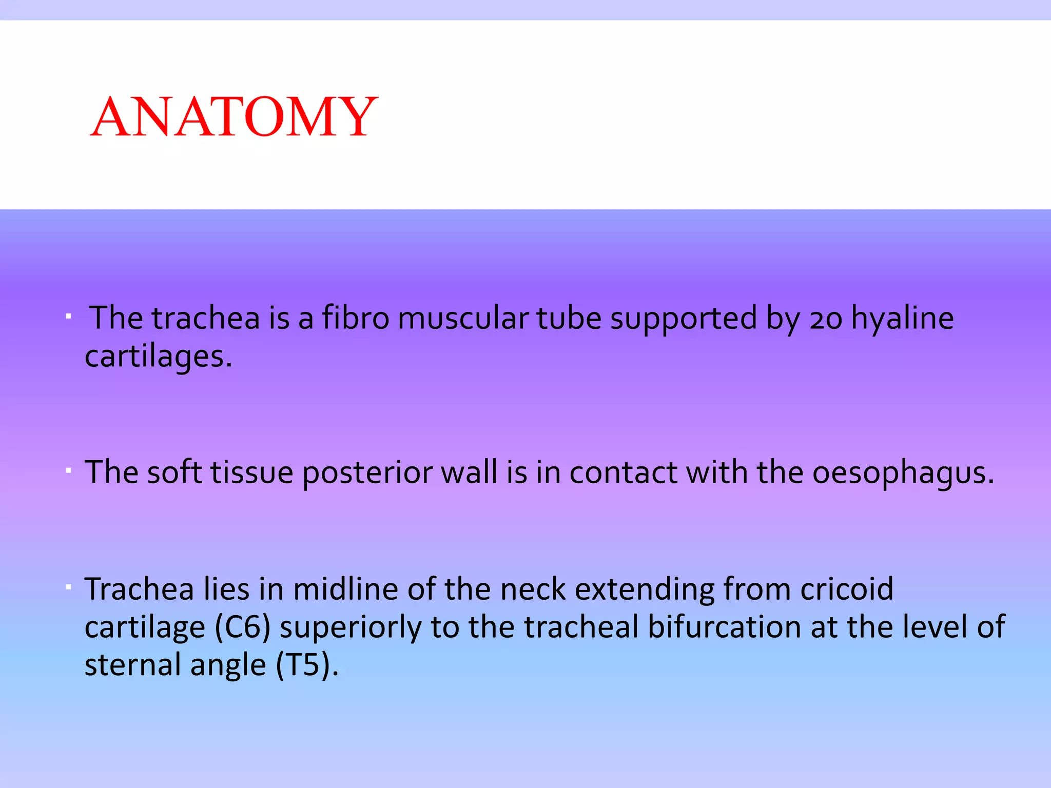 Tracheostomy | PPTX