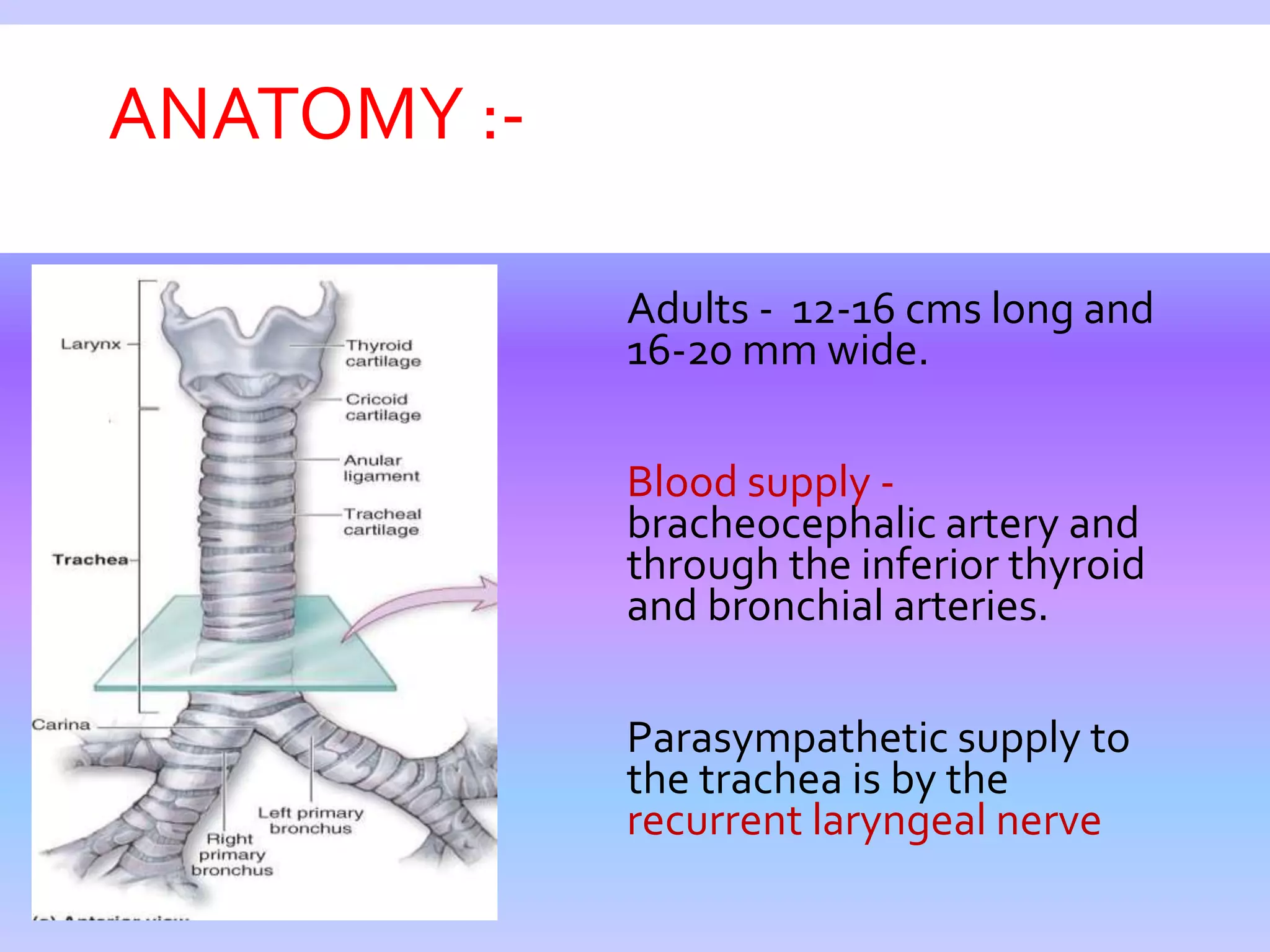 Tracheostomy | PPTX