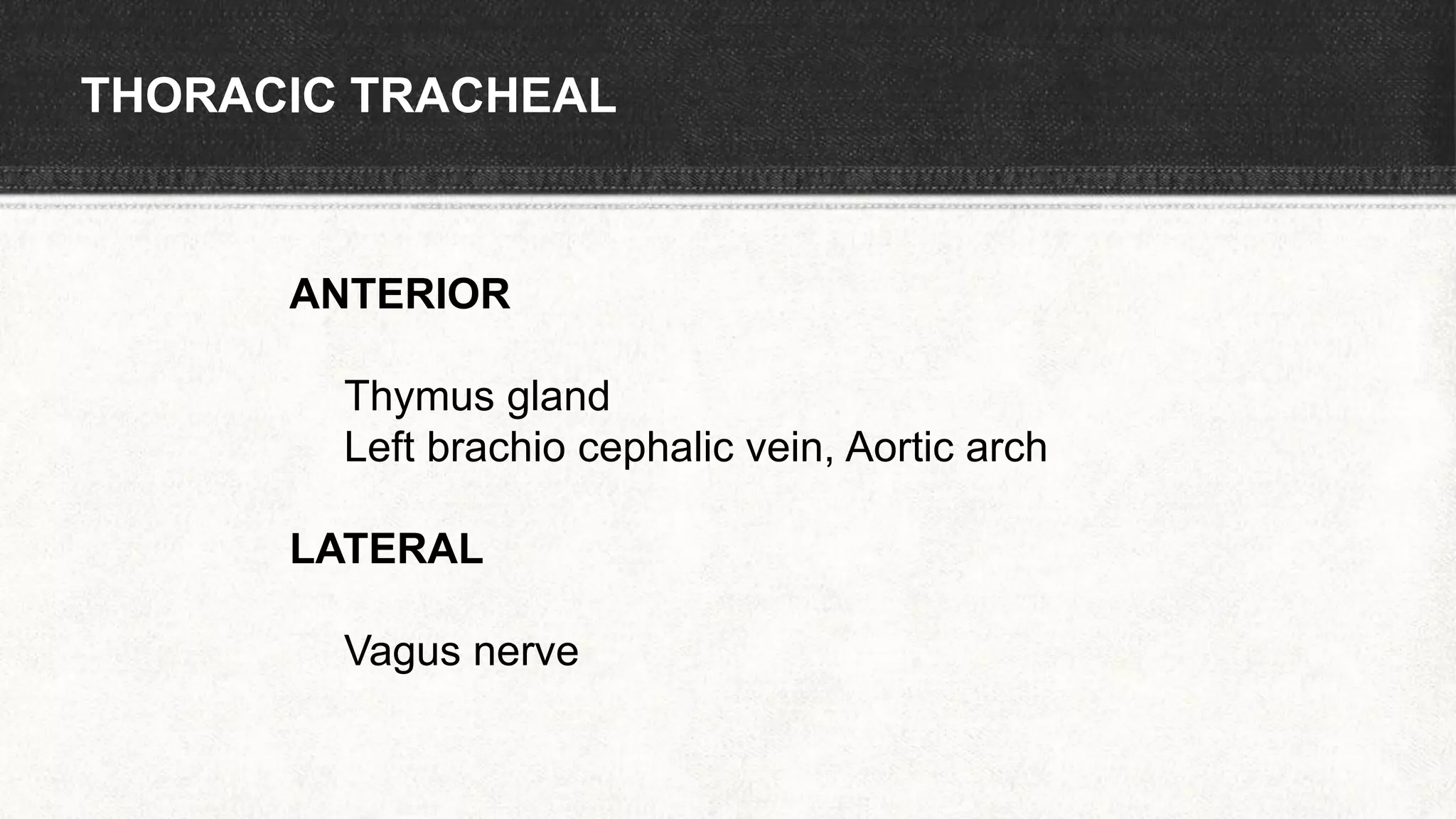 Tracheostomy | PPTX