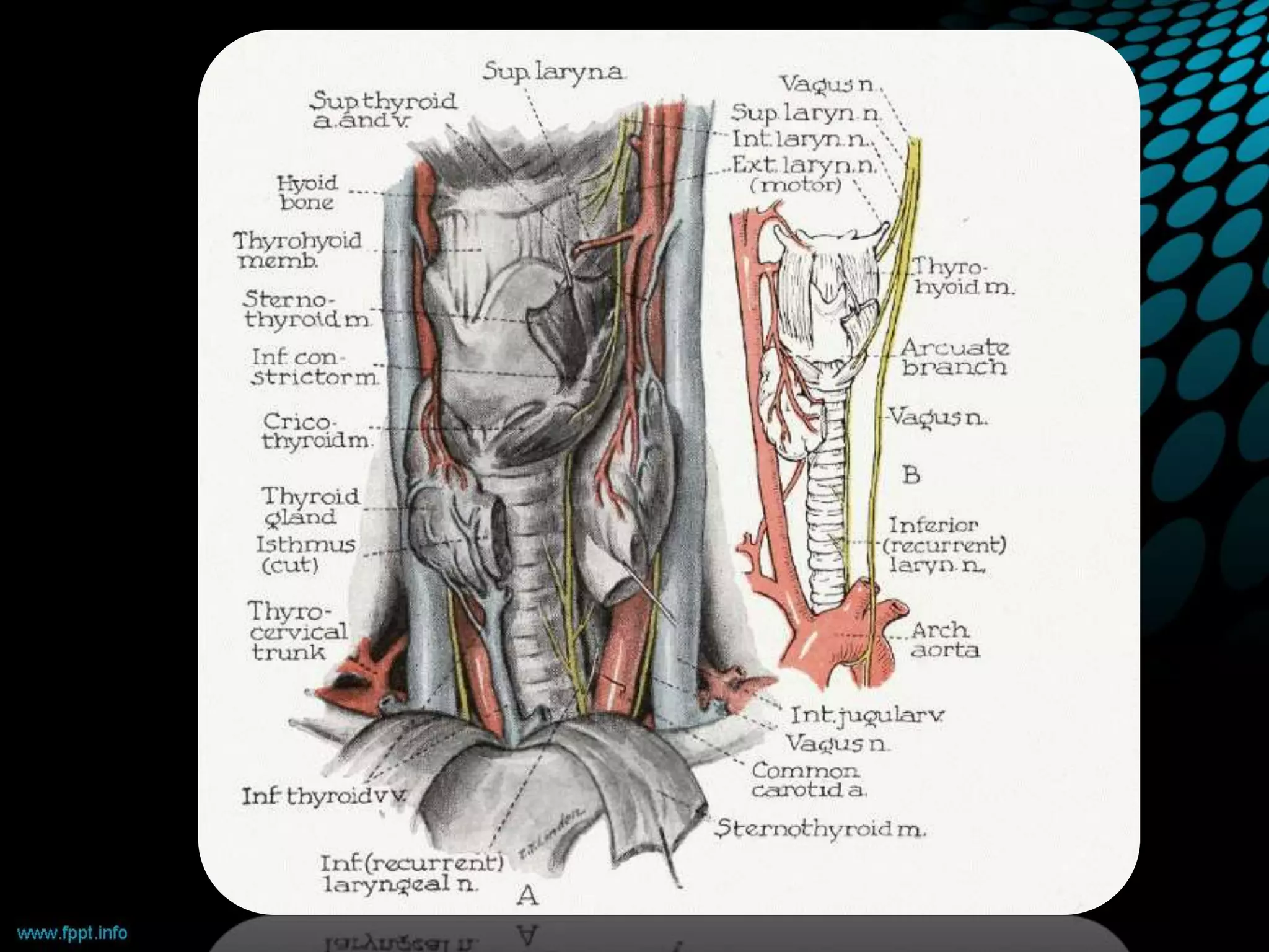 Tracheostomy | PPTX