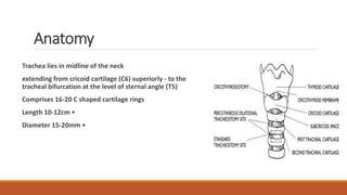 Tracheostomy | PPT