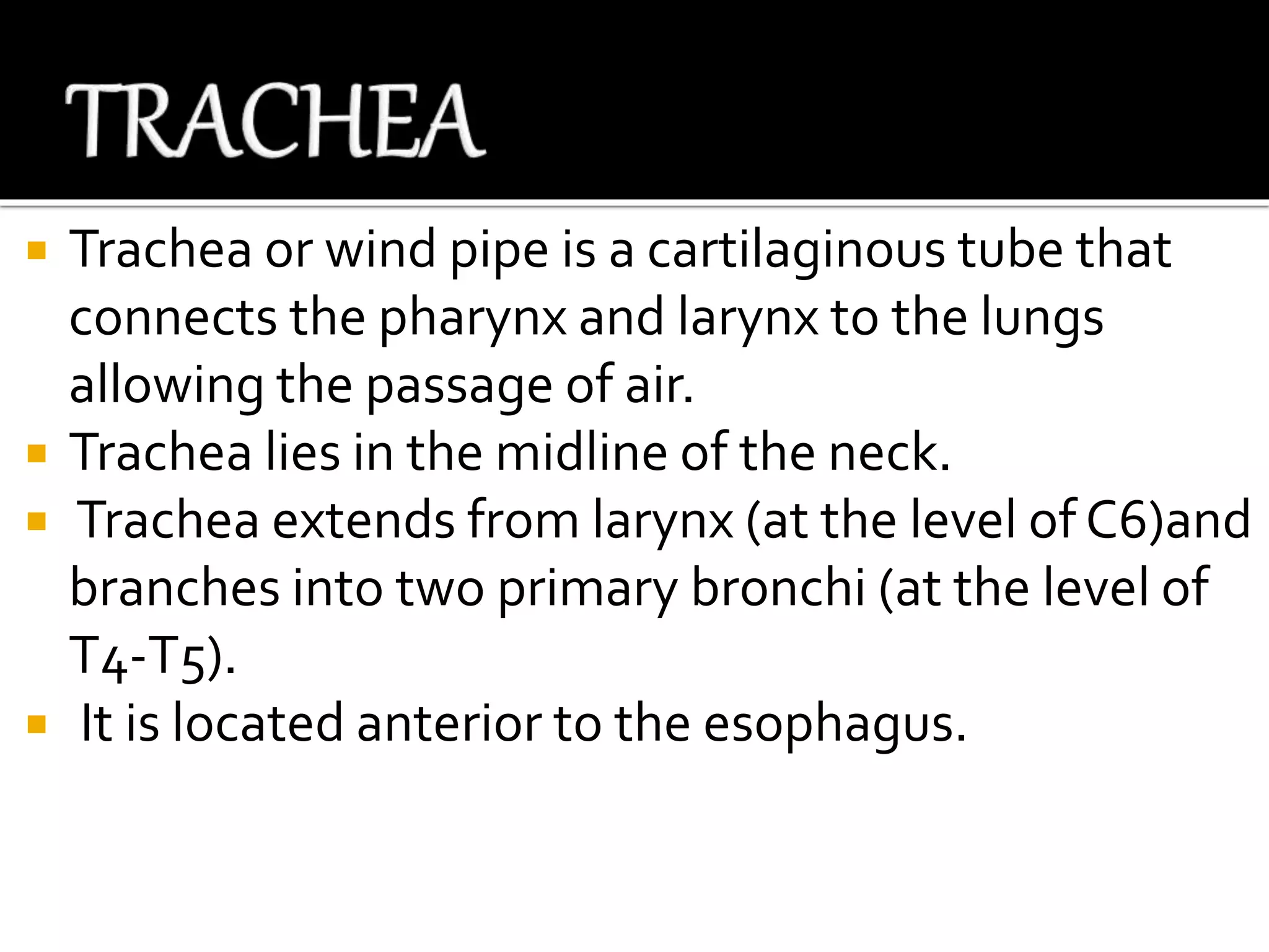 Tracheostomy ( for medical students ) | PPTX