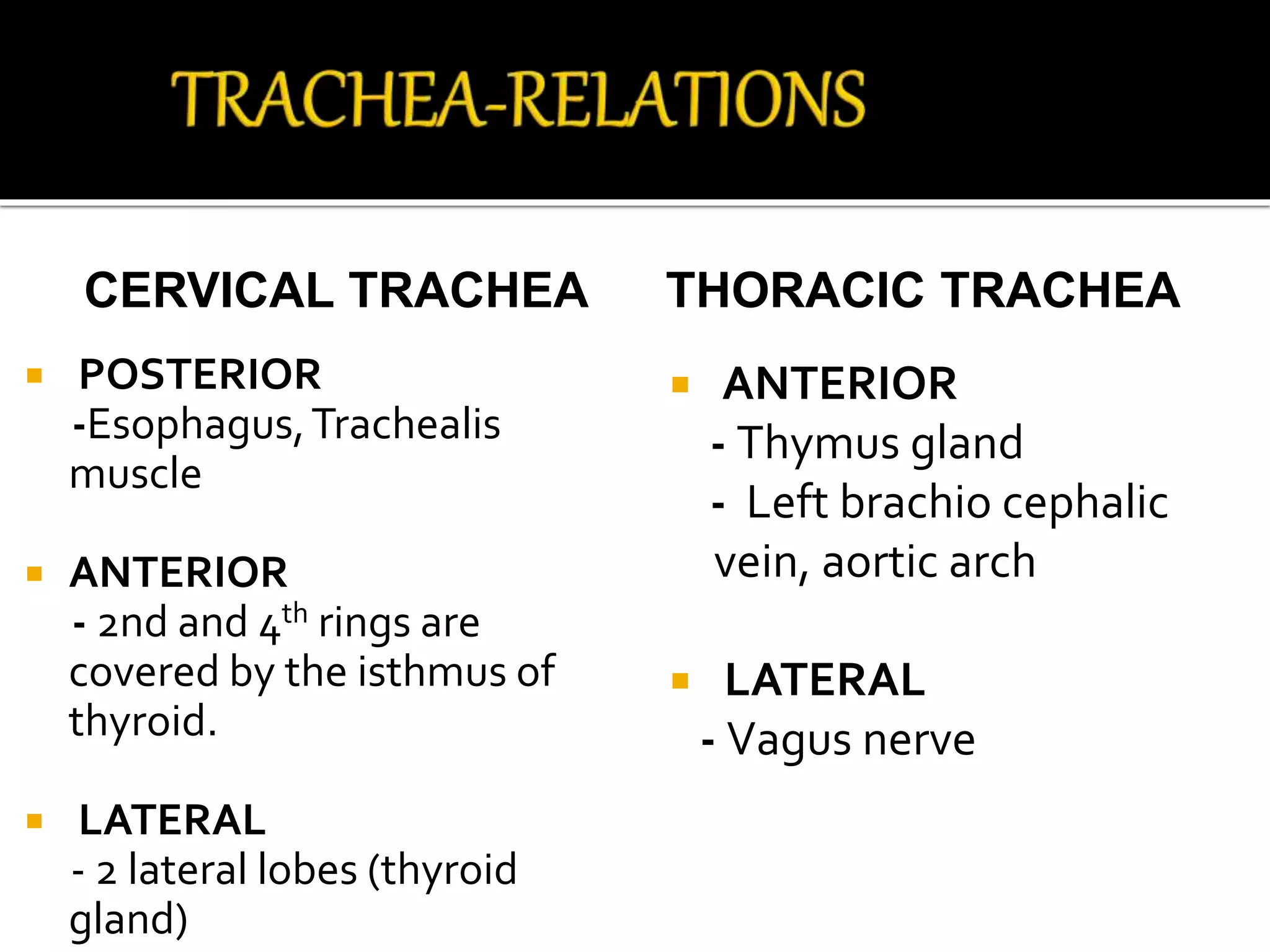 Tracheostomy ( for medical students ) | PPTX