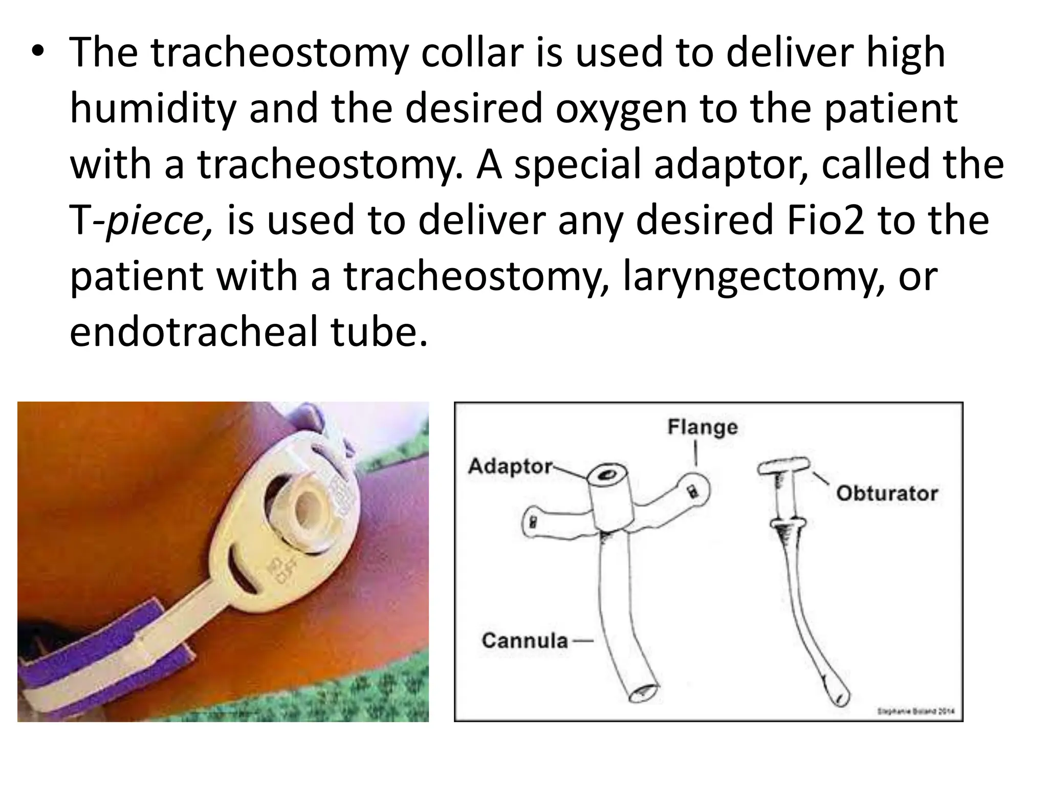 tracheostomy.pptx,....................... | PPTX
