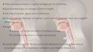 "Tracheostomy" Seminar for oral and maxillofacial surgery postgraduates ...