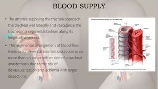 "Tracheostomy" Seminar for oral and maxillofacial surgery postgraduates ...