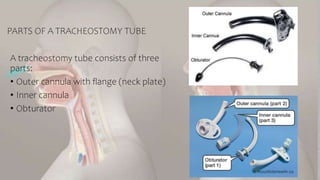 "Tracheostomy" Seminar for oral and maxillofacial surgery postgraduates ...