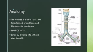 tracheostomy .pptx