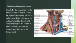 tracheostomy .pptx