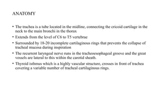 TRACHEOSTOMY ms ent pg level slides .pptx