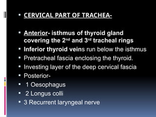 tracheostomy.pptx tracheostomy ppt for general surgery basic ...