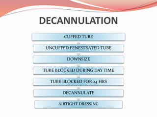 Tracheostomy ashly | PPTX | Ear, Nose and Throat Conditions | Diseases ...