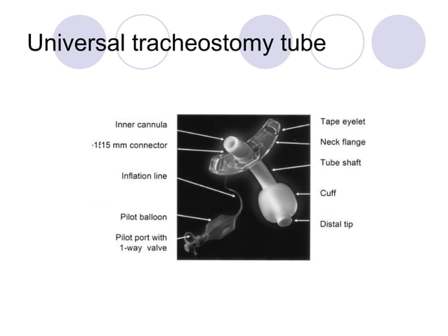Tracheostomy and its post op care last | PPT | Ear, Nose and Throat ...