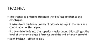 TRACHEOSTOMY AND STRIDOR ZULU MISOZI.pptx
