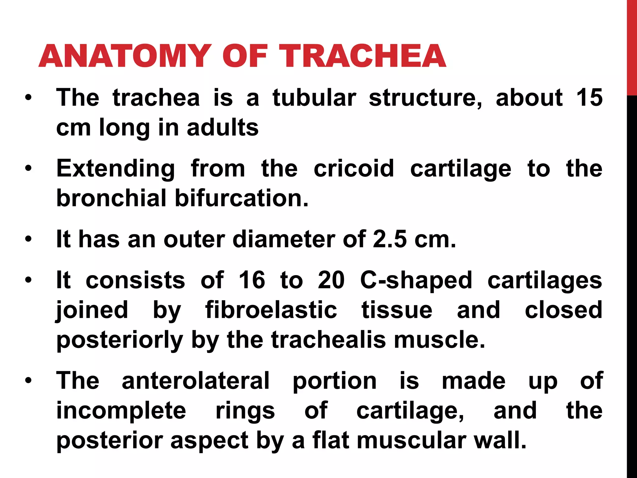 Tracheostomy by Kanato | PPTX