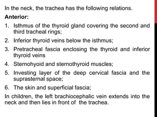 Tracheostomy by Kanato | PPTX