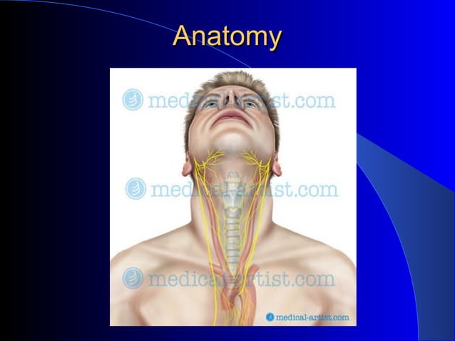 Tracheostomy and post op care | PPT | Ear, Nose and Throat Conditions ...